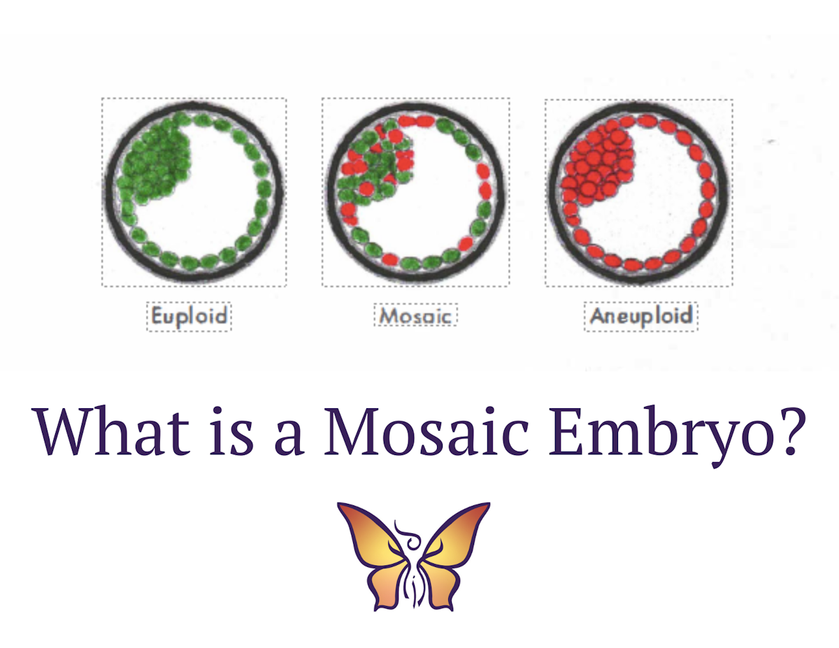 Mosaic Embryos - Denver Fertility Care