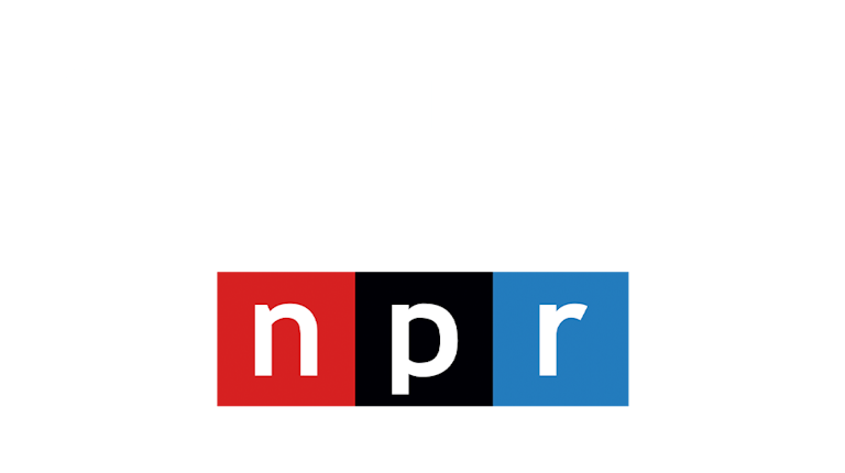 Paul Doyle & Associates: Defense Attorney Houston, TX